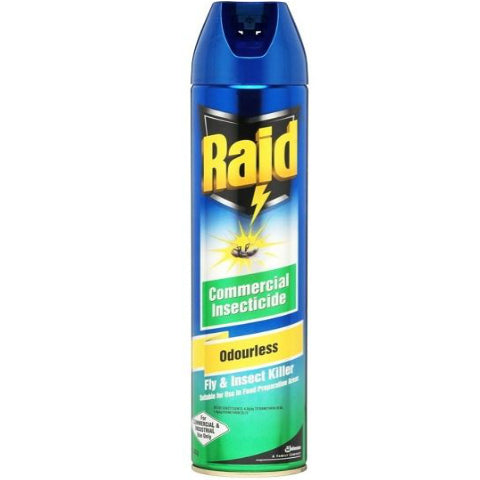 Raid Fly and Insect Killer Spray 400g – Hannafords Clean Supply